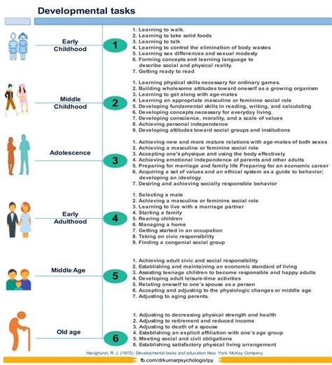 Developmental Task A Guideline For Us Social Work Theories