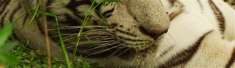 Bhawanipatna Tour Packages From Kolkata Book Bhawanipatna Packages From Kolkata At Best Price