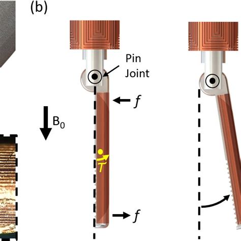Lorentz Force Based Grasping Model A Upon An Induced Current Copper Download Scientific