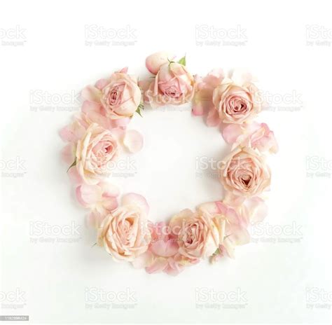 화 환 꽃 구성 배경입니다 핑크 장미 패턴 프레임 흰색 바탕에 동그라미 평면도 복사 공간 휴일 개념 0명에 대한 스톡 사진 및 기타 이미지 Istock