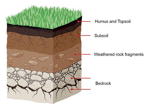How To Lay Artificial Turf In A New Garden I Perfect Grass Ltd