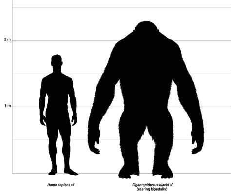 Gigantopithecus Bilaspurensis