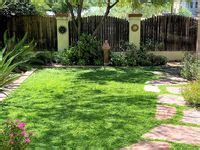 34 Kurapia Installations Ideas To Save Today Lawn Alternatives