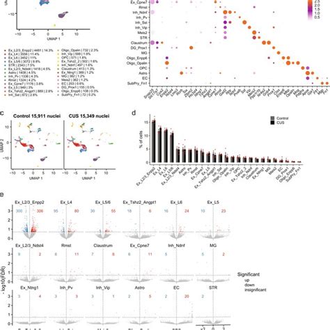 Identification Of Cus Driven Cortical Cell Type Specific Gene Download Scientific Diagram