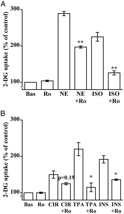 Effects Of Pkc Conventional And Novel Inhibition On Insulin Or
