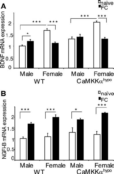 Contextual Fear Conditioning Induces A Sex Dependent Regulation Of