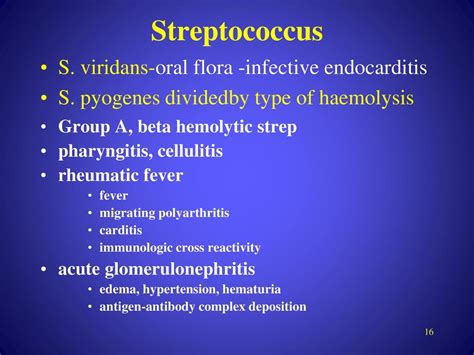 Streptococcus Viridans норма