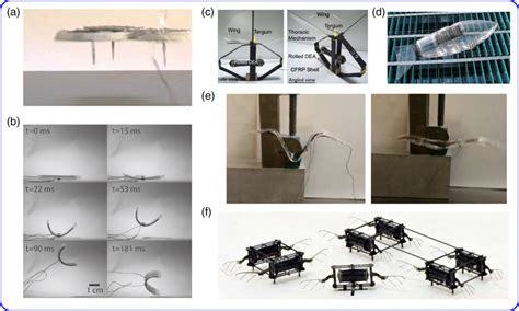 Jumpingflying Robots A Hopping Robots Reproduced With Permission