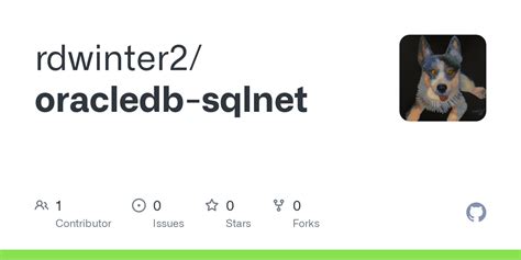 Github Rdwinter2oracledb Sqlnet