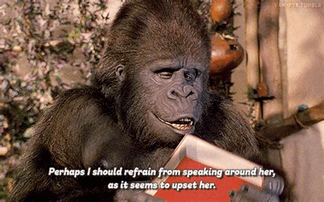 George Of The Jungle Gorilla