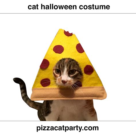 Pizzacat Cat Costume · Pizzacat · Online Store Powered By Storenvy