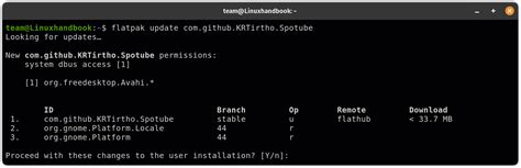 how to update flatpak packages
