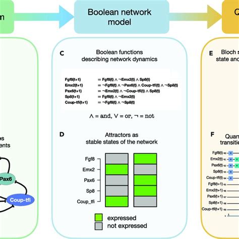 Workflow For The Implementation Of A Quantum Boolean Network A Download Scientific Diagram