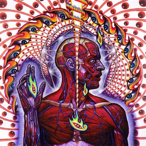 Lateralus Album Art Tool Artwork Tool Band Artwork