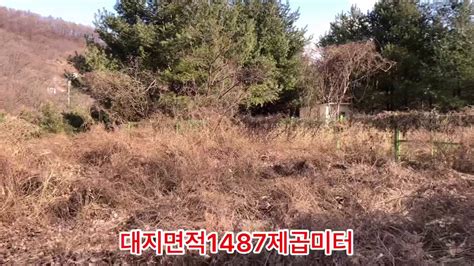 정말 싼 전원주택지 대지 용인시 고기동 YouTube