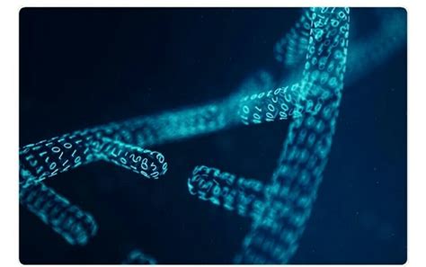 Cell Line Authentication Using Dna Barcoding Scope Of Biotechnology