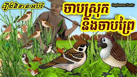 រឿងនិទានអប់រំ ចាបស្រុក និងចាបព្រៃ Khmer Story Tale Youtube