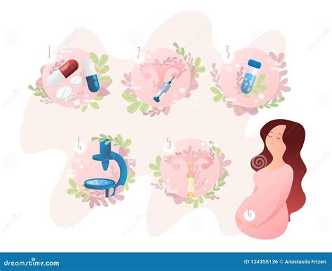 The Stages Of Artificial Insemination IVF In Vitro Fertilization Step