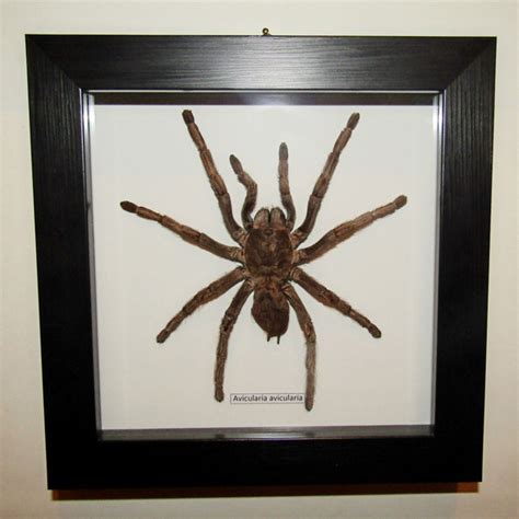 Украшение подвесное интерьерное Сазимай в рамке купить по доступным ценам в интернет магазине