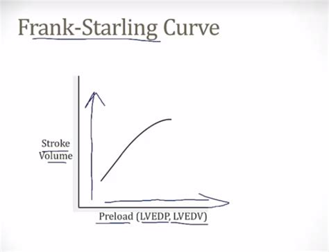 Cardiac Function Flashcards Quizlet