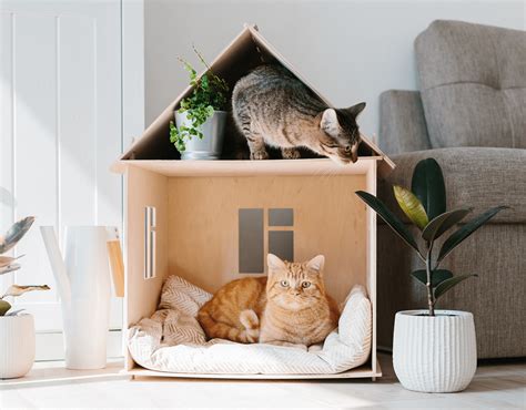 Katzenhaus Selber Bauen 8 Upcycling Ideen Unter 100€ Wmnde
