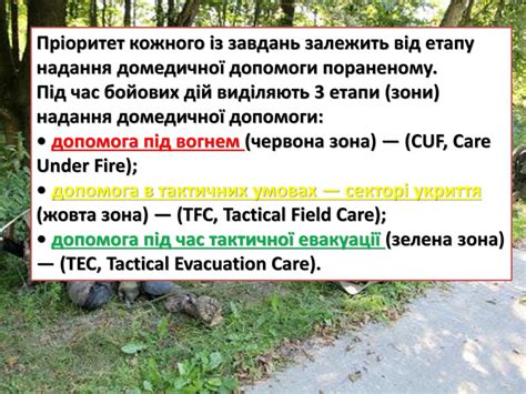 ЗАХИСТ ВiТЧИЗНИ ОСНОВИ МЕДИЧНИХ ЗНАНЬ Фото і відеоматеріал з теми ОСНОВНІ ПРИНЦИПИ НАДАННЯ