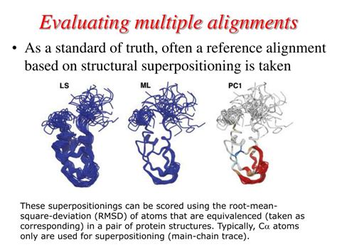 Ppt Multiple Sequence Alignment Benchmarking Pattern Recognition And Phylogeny Powerpoint