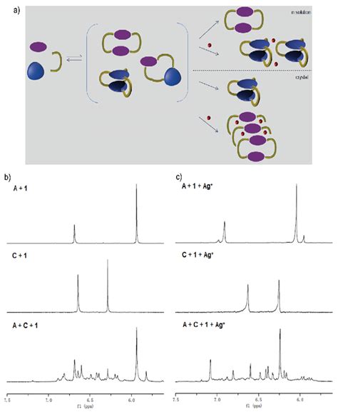 Crystallization And Metal Driven Selection Of Discrete Macrocyclescages And Their