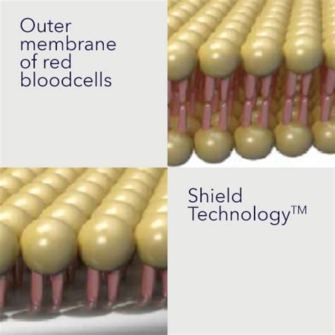 Pipeline™ Flex With Shield Technology™ Medtronic