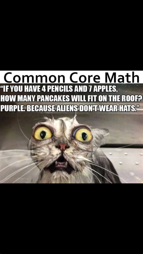 Hilarious Common Core Math Meme A Fun Take On Math Education Funny