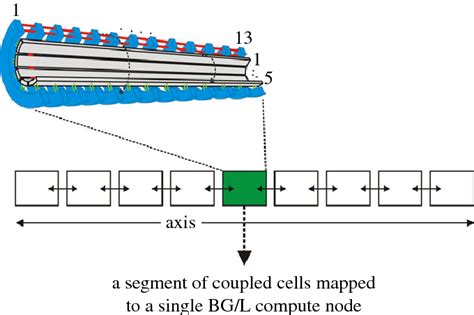 Schematic Of Parallelization Nodes Are Connected In One Dimensional