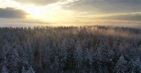 Безкоштовне стокове відео Vista аерознімок атмосферний безтурботний білий сніг величний