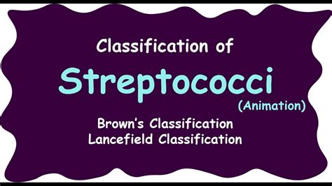 Streptococci Lancefield Classification Of Streptococci Streptococci Lancefield Classification Of Streptococci
