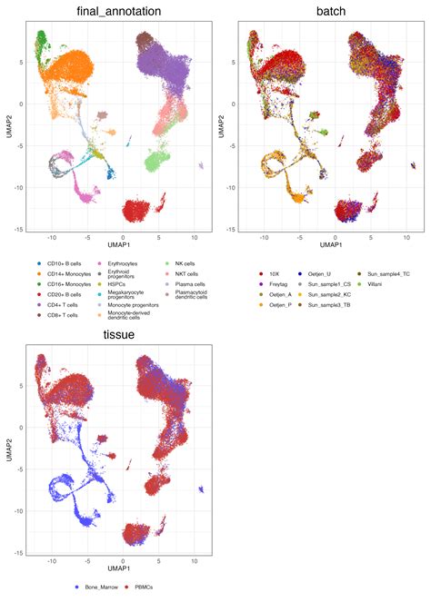 Dataset Immune Cell Hum