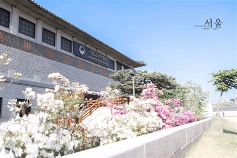 2024新罗免税店首尔店购物走过这个建筑就是新罗免税店【去哪儿攻略】