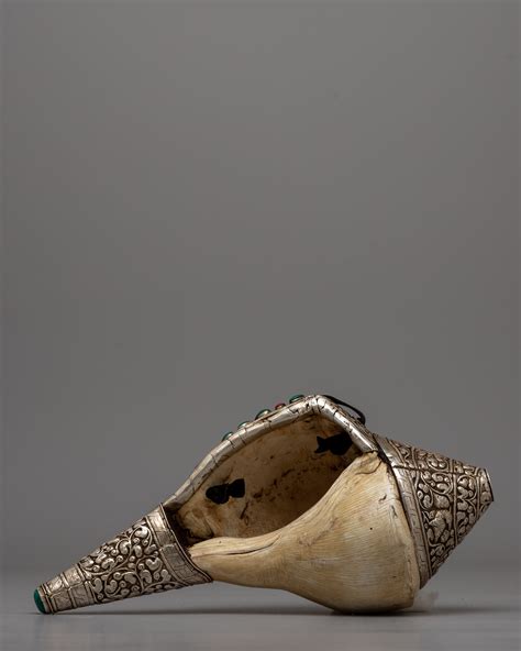 Conch Shell Pooja Ritual Shell For Enhancing Your Worship And Offeri