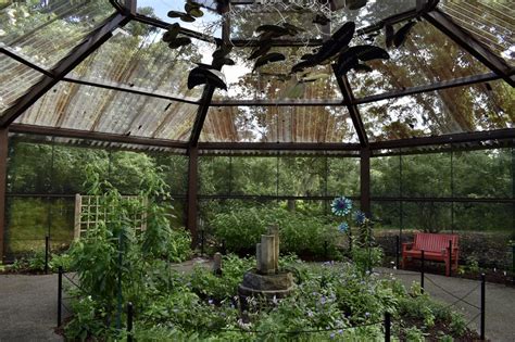 What Is A Butterfly House Discover Natures Sanctuary