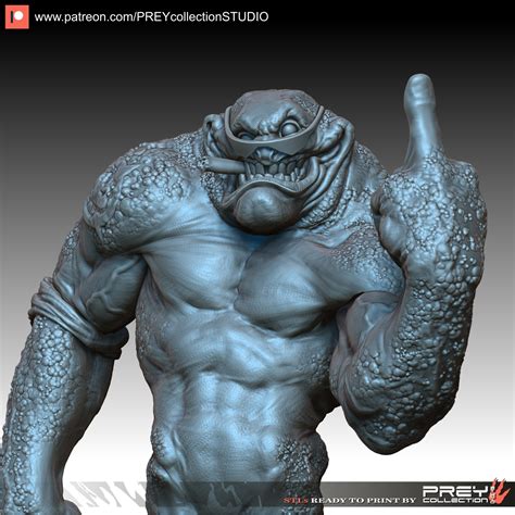 Free 3d File Rash Battletoad 1 10 Scale・3d Printing Idea To Download・cults