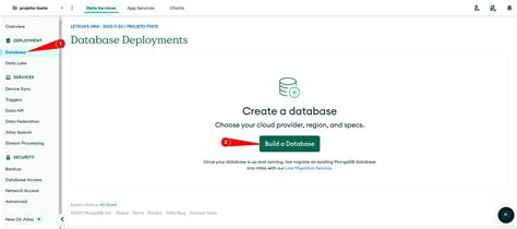 Como Utilizar Mongodb Atlas