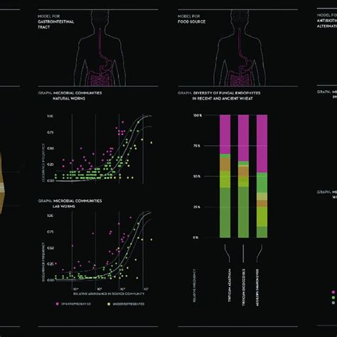 Consistent Usage Of Visual Language In Data Visualization This Download Scientific Diagram