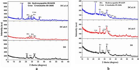 X Ray Diffraction Patterns Of The Sintered Glassceramic Surface After