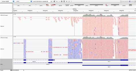 alignment visualization igv griffith lab
