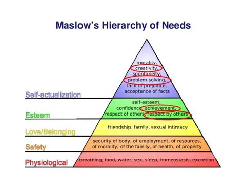 Maslows Hierarchy Of Needs