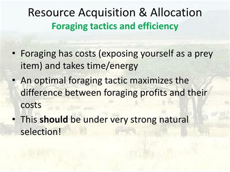 Ppt Resource Acquisition And Allocation Optimal Foraging Theory Powerpoint Presentation Id1096927