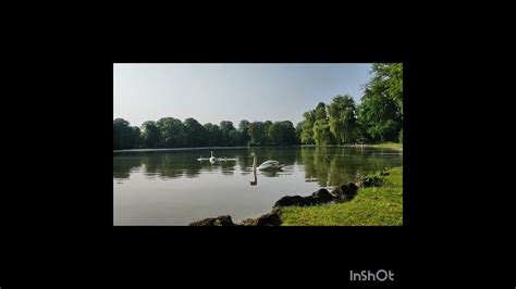 Чого являєшся мені у сні Іван Франко Youtube