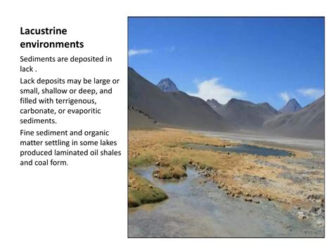 Sedimentary Depositional Environments Pptx