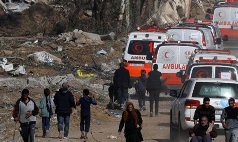 Read All Latest Updates On And About Abigail Edan