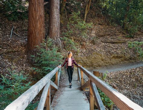 15 Amazing Redwood Hikes Near Santa Cruz California Wanderland