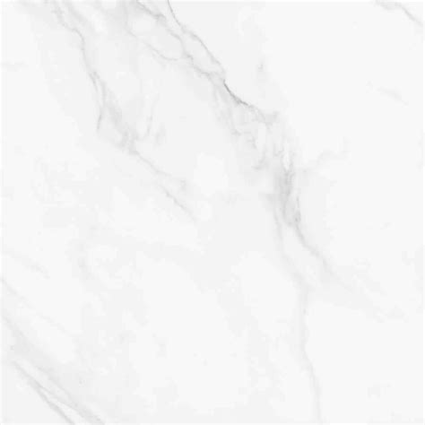 Eliane Donchez White Calacatta 24 In X 24 In Glazed Porcelain Floor