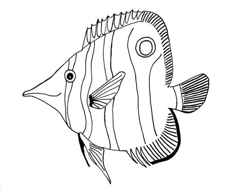 Pesti De Colorat Pesti De Desenat Fise Si Desene De Colorat Cu Pesti